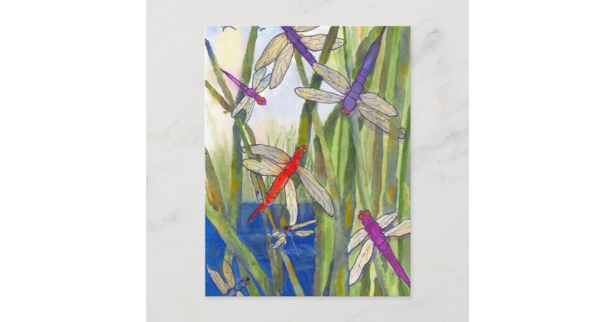 Dragonflies Summer Postcard | Zazzle