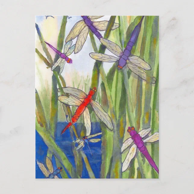 Dragonflies Summer Postcard | Zazzle