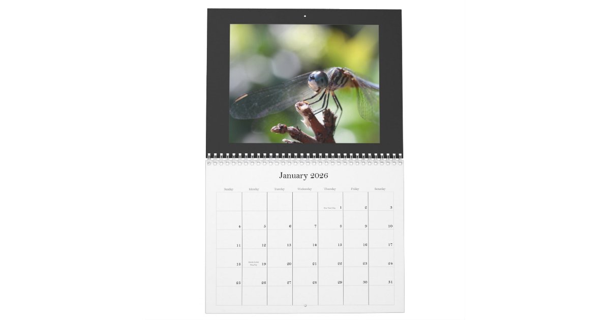Dragonfly Calendar 2011 | Zazzle