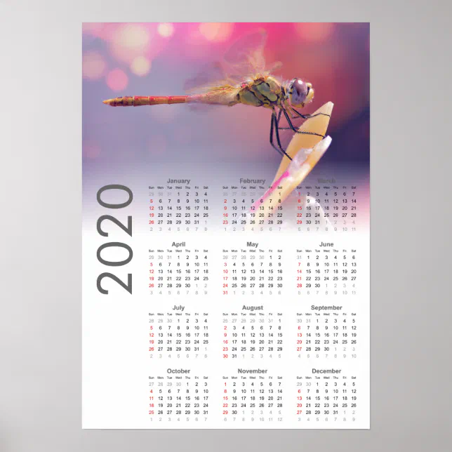 Dragonfly Calendar 2020 Poster | Zazzle