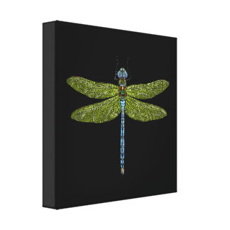 Dragonfly Art & Framed Artwork | Zazzle