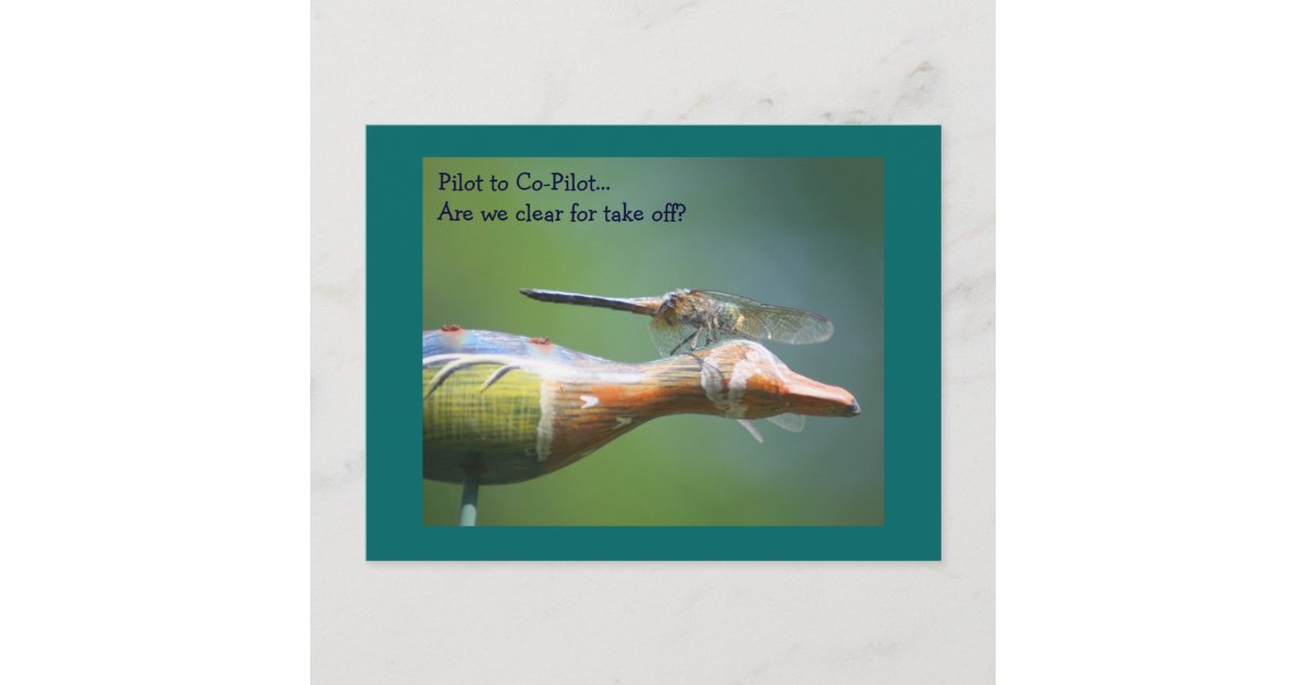 Dragonfly Co Pilot Humorous Nature Postcard | Zazzle