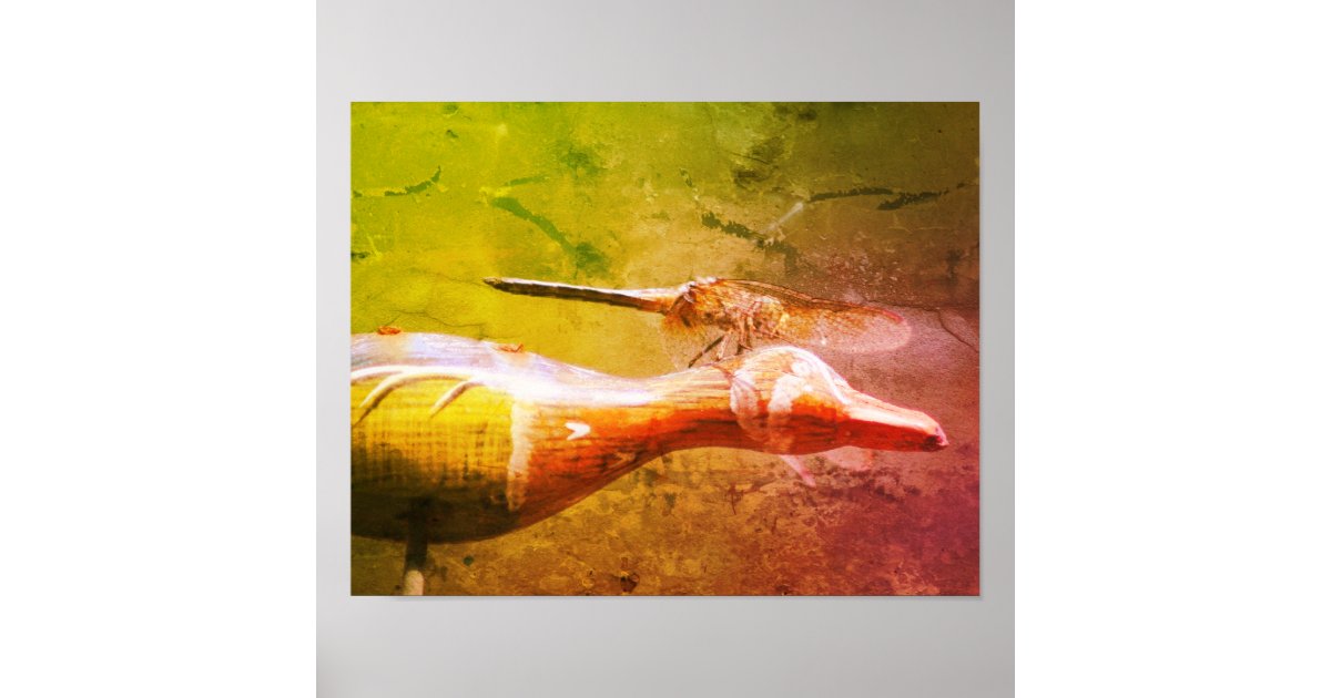 Dragonfly Co Pilot Insect Distressed Art Poster | Zazzle