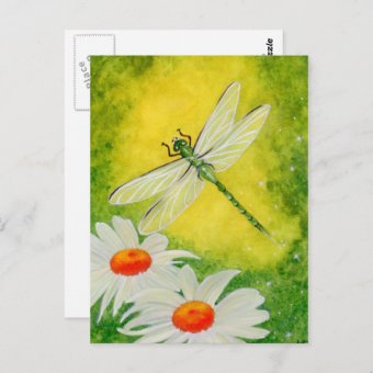Dragonfly Daisies Postcard | Zazzle