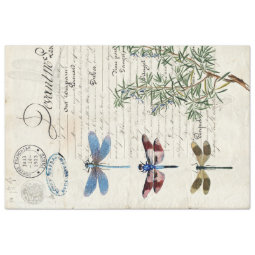 Dragonfly Ephemera Furniture Decoupage Paper | Zazzle