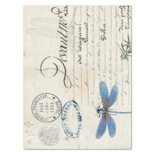 Dragonfly Ephemera Furniture Decoupage Paper | Zazzle