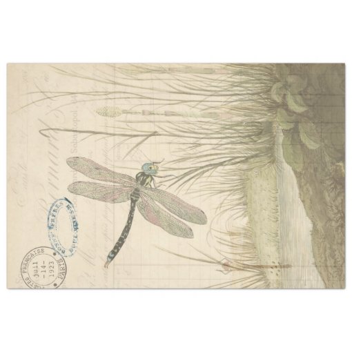 Dragonfly Ephemera Tissue Paper | Zazzle