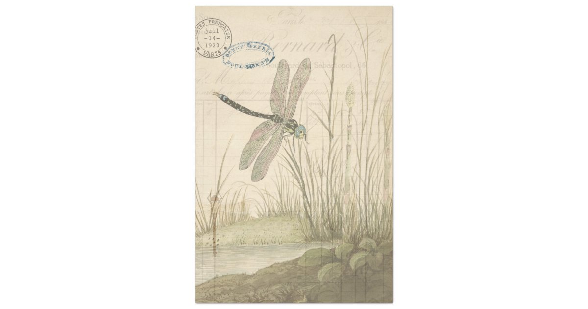 Dragonfly Ephemera Tissue Paper | Zazzle