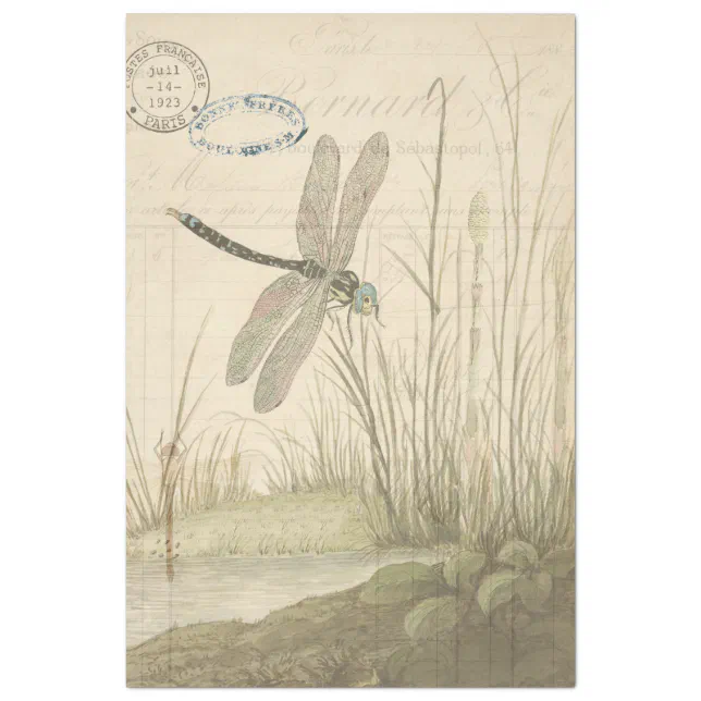 Dragonfly Ephemera Tissue Paper | Zazzle