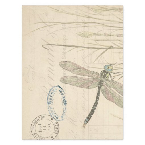 Dragonfly Ephemera Tissue Paper | Zazzle