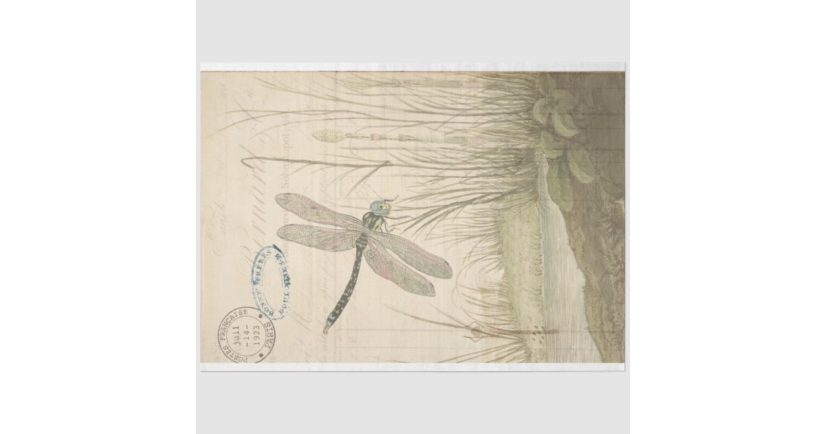 Dragonfly Ephemera Tissue Paper | Zazzle