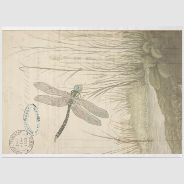 Dragonfly Ephemera Tissue Paper | Zazzle
