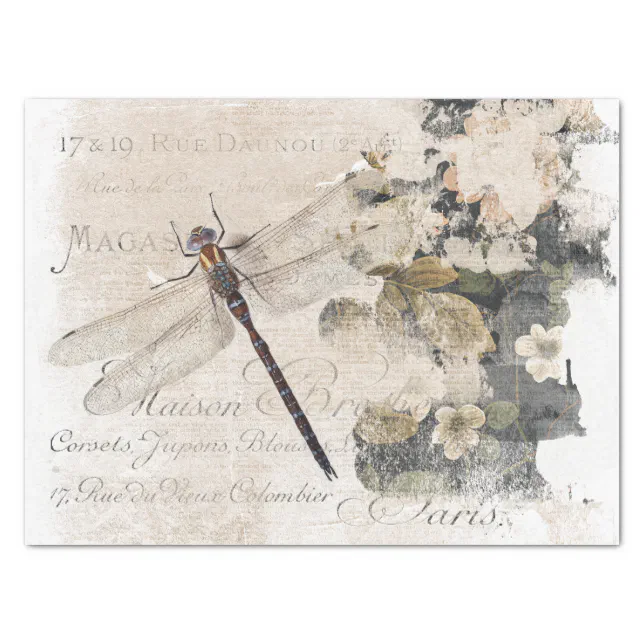 Dragonfly French Script Shabby Floral Decoupage Tissue Paper | Zazzle