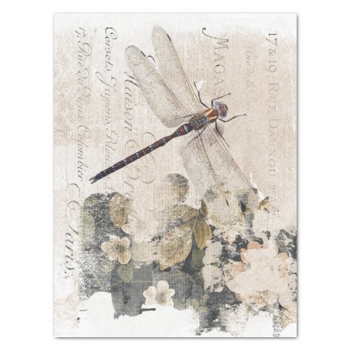 Dragonfly French Script Shabby Floral Decoupage Tissue Paper | Zazzle