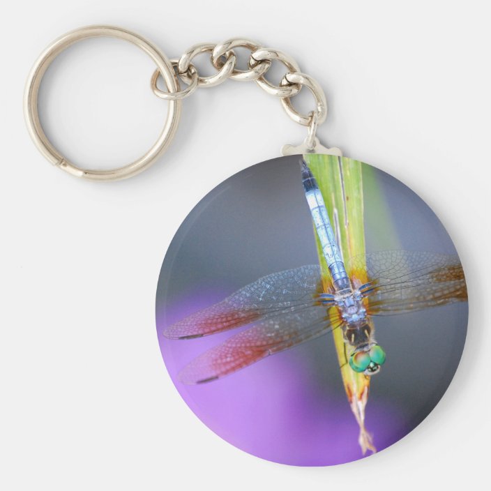 Dragonfly - keychain | Zazzle.com