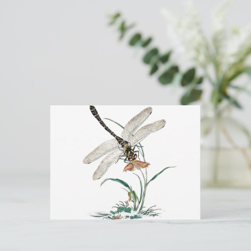 Dragonfly Magic Postcard | Zazzle