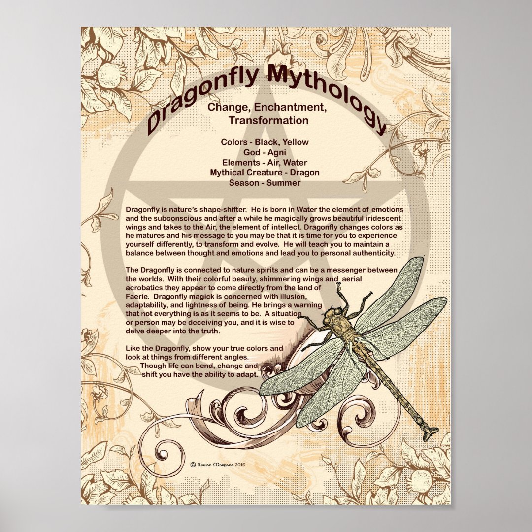 DRAGONFLY MYTHOLOGY POSTER | Zazzle