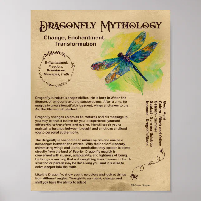 DRAGONFLY MYTHOLOGY POSTER | Zazzle