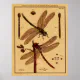 Dragonfly Poster | Zazzle