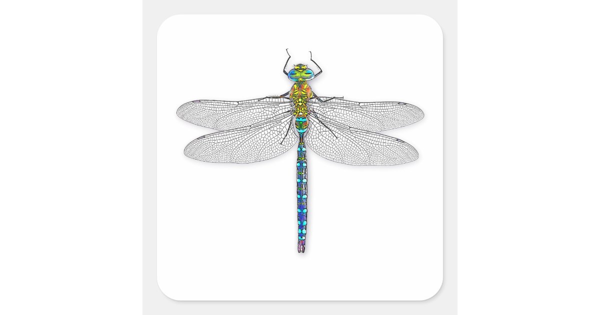 Dragonfly Stickers Labels Seals | Zazzle