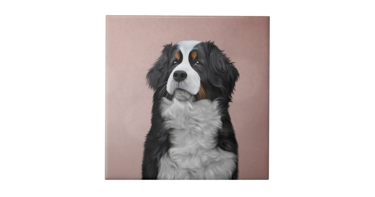 Drawing Bernese Mountain Dog Ceramic Tile | Zazzle