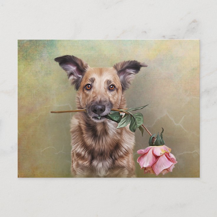 Drawing funny dog holding a flower in the mouth postcard | Zazzle