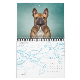 Drawing funny Dogs Calendar | Zazzle