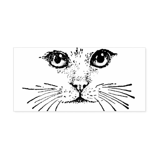 how to draw cat whiskers face