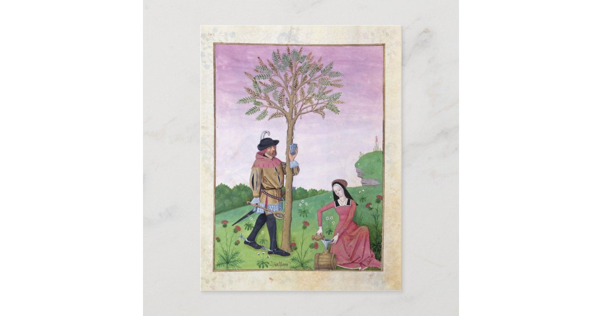 Drawing sap from a tree postcard | Zazzle