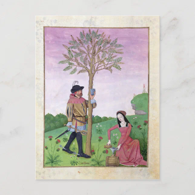 Drawing sap from a tree postcard | Zazzle