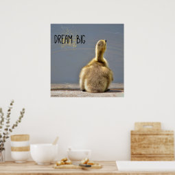 Dream Big Motivational Poster | Zazzle