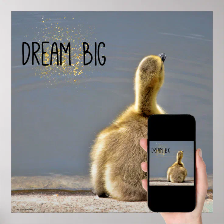 Dream Big Motivational Poster | Zazzle