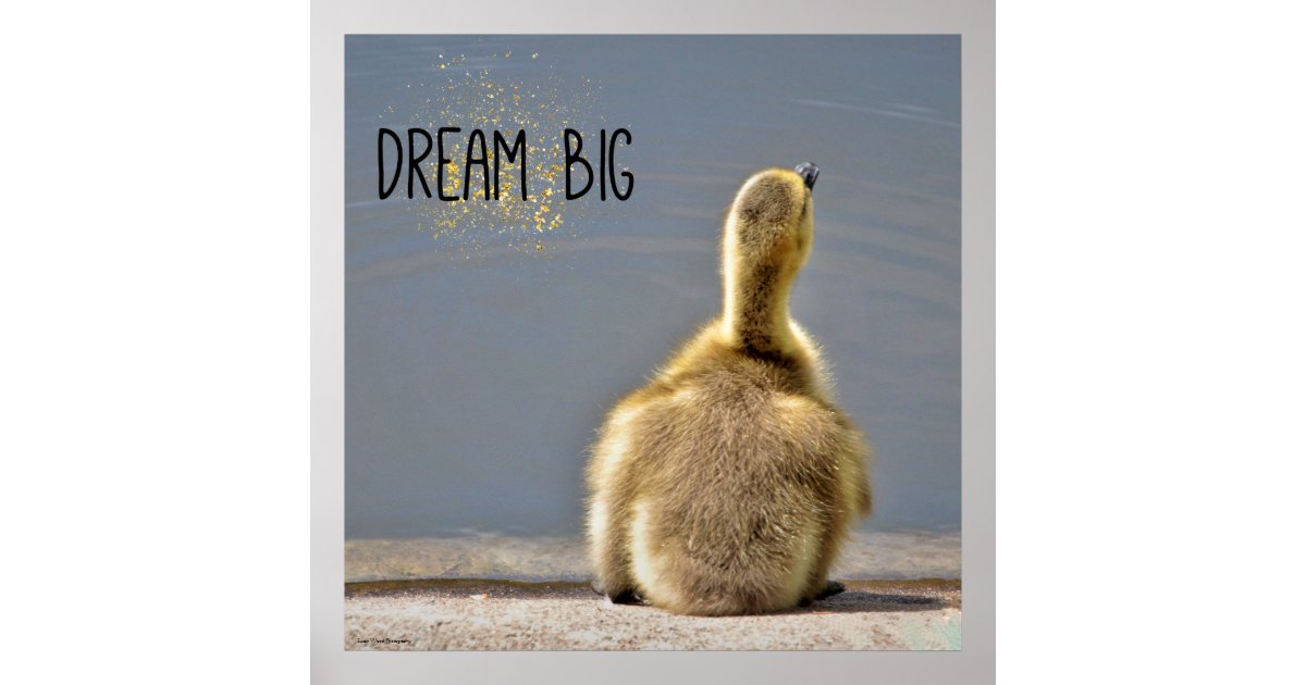 Dream Big Motivational Poster | Zazzle