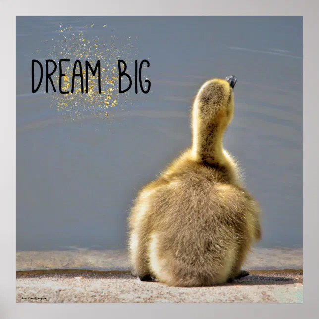 Dream Big Motivational Poster | Zazzle