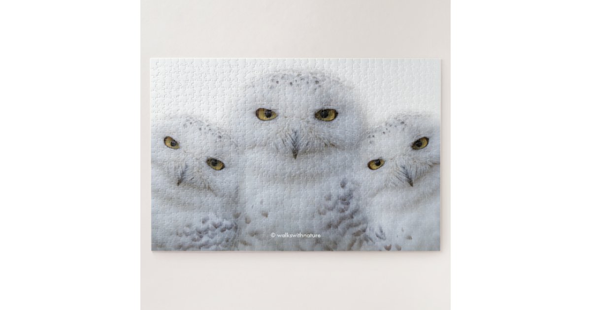 Dreamy Wisdom of Snowy Owls Jigsaw Puzzle | Zazzle