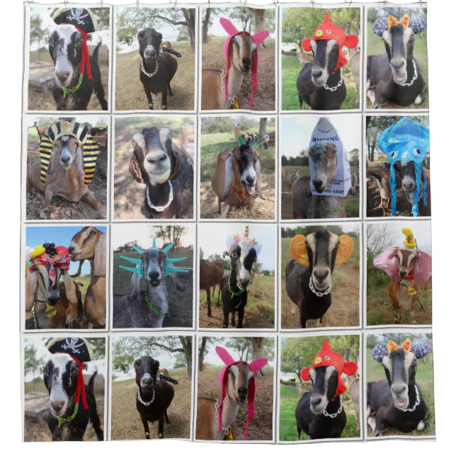 Dress Up Goats Shower Curtain | Zazzle