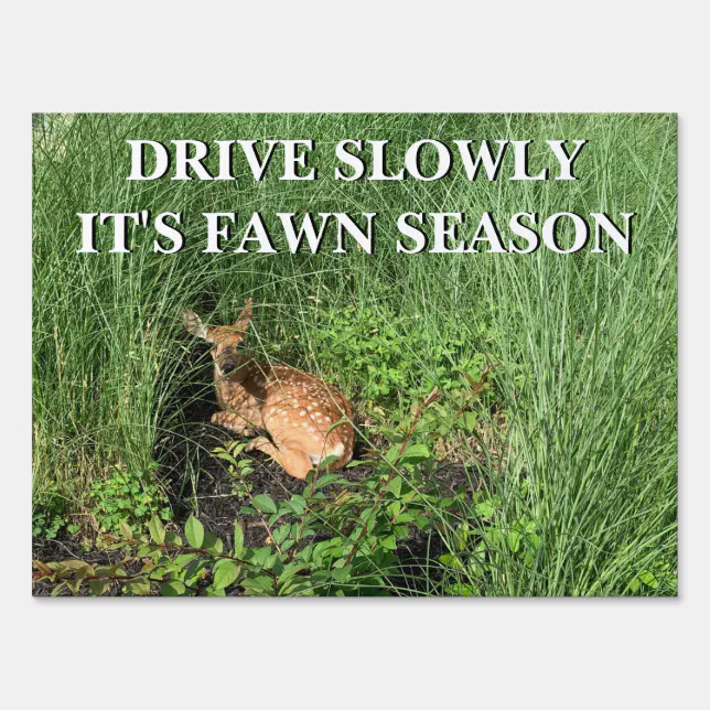 Drive Slowly Fawn Season Baby Deer Warning Yard Sign | Zazzle