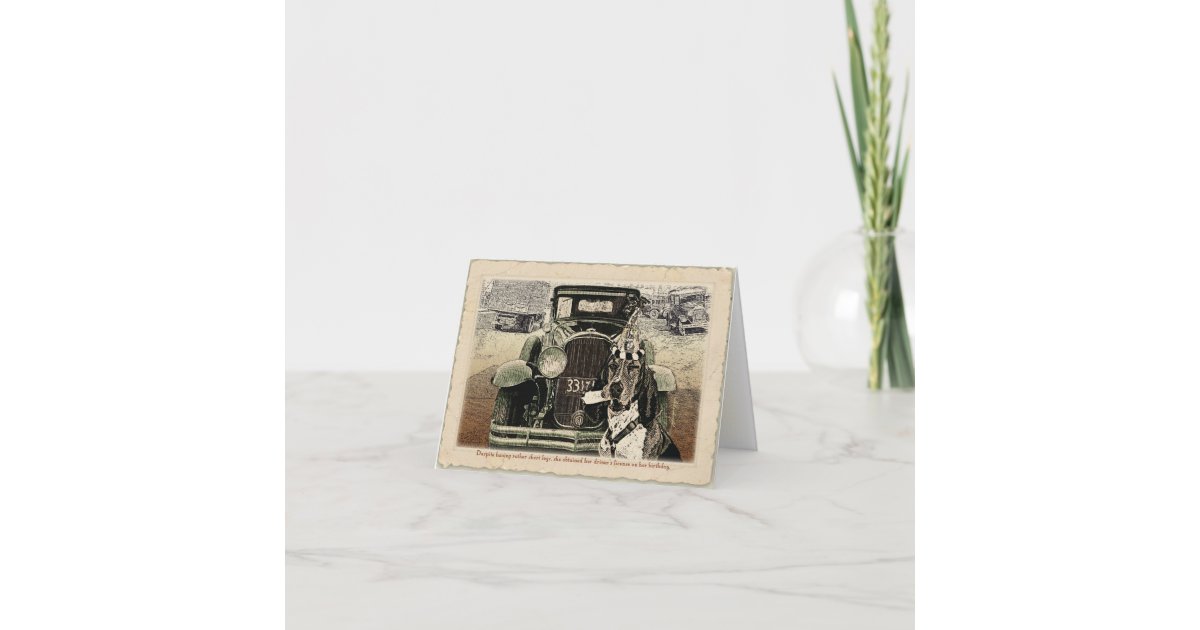 Driving Basset birthday card | Zazzle