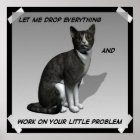 Bonehead Award Certificate Poster | Zazzle.com