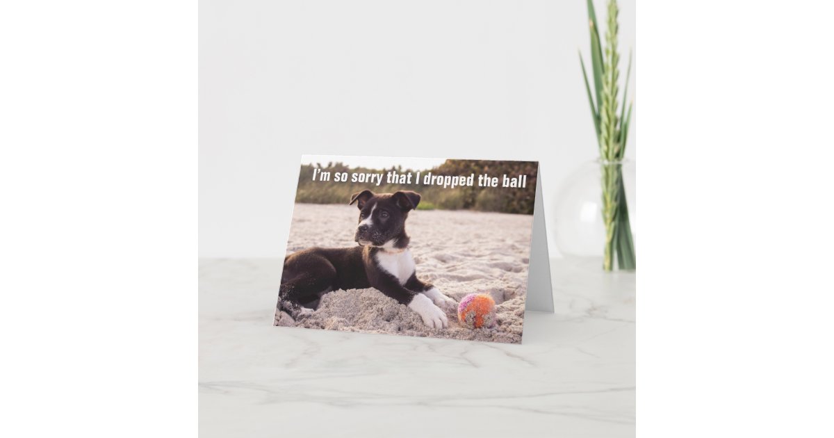 Dropped The Ball, Belated Birthday - Card | Zazzle