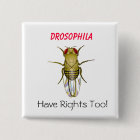 Animals Have Rights Button | Zazzle.com