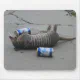 Drunk Armadillo Mouse Pad | Zazzle