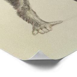 Dryopithecus Africanus Poster | Zazzle