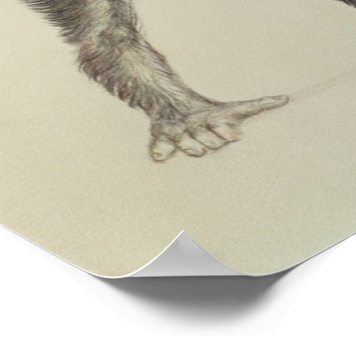 Dryopithecus Africanus Poster | Zazzle