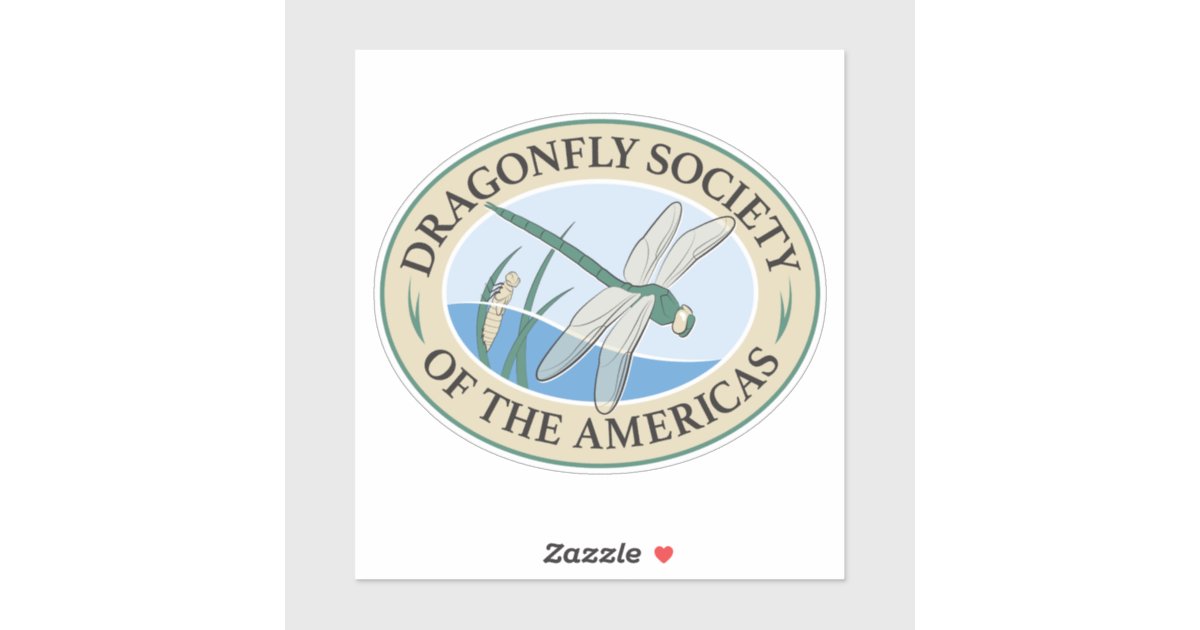 DSA Transparent Logo Decal | Zazzle