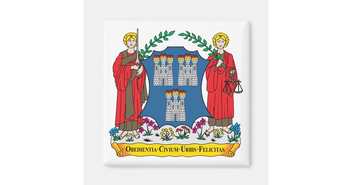 Dublin Coat of Arms Magnet | Zazzle