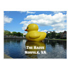 Norfolk, Virginia (Duck) Postcard | Zazzle.com