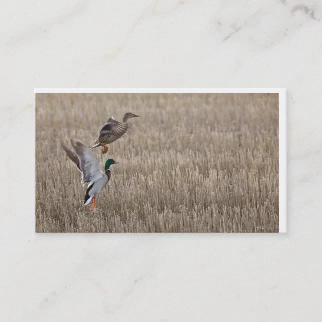 Duck Business Card | Zazzle