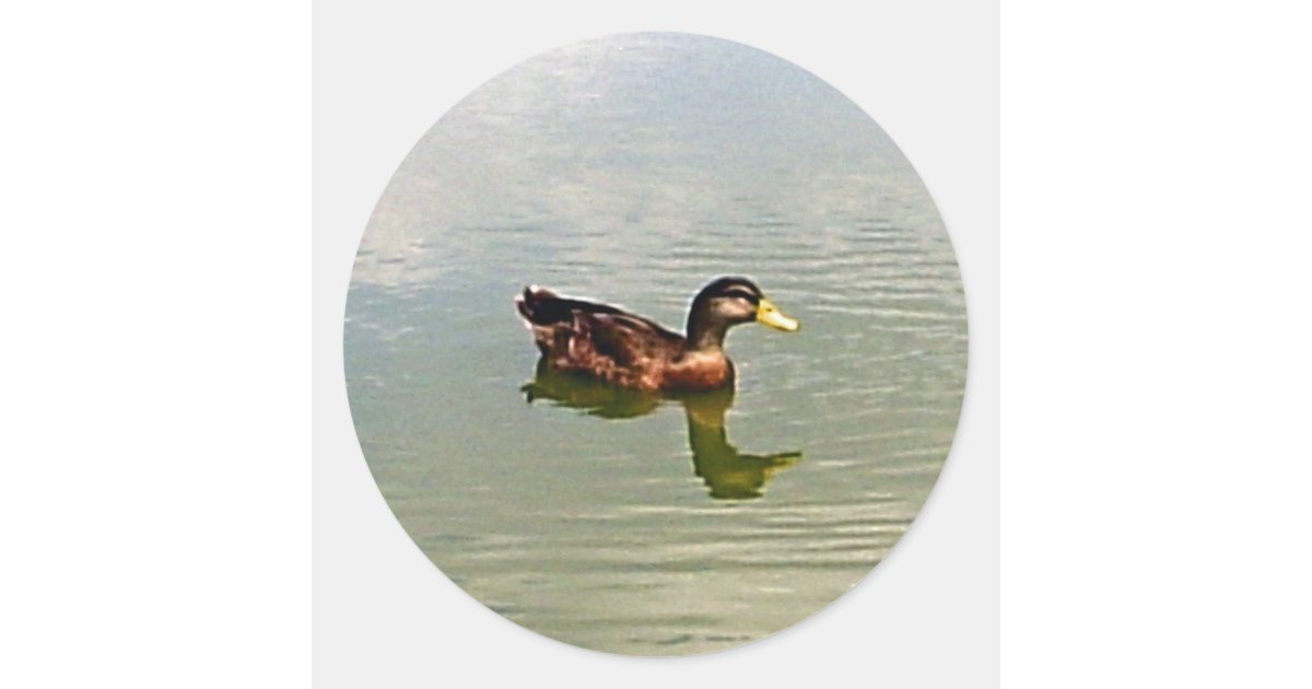Duck Envelope Seal Sticker | Zazzle