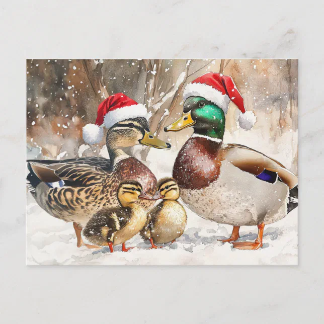 Duck Family Postcard | Zazzle